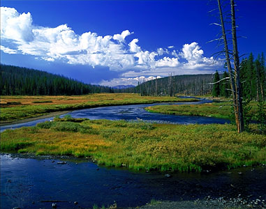 Bucati din carti: Parcul National Yellowstone