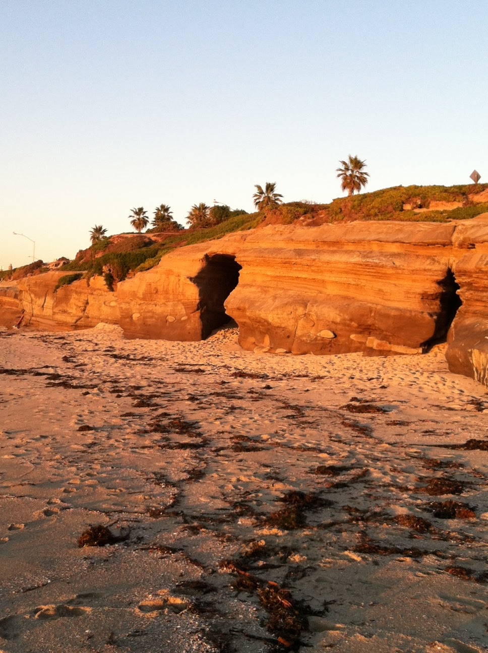 Penny Wilkes: Landscape Illusion