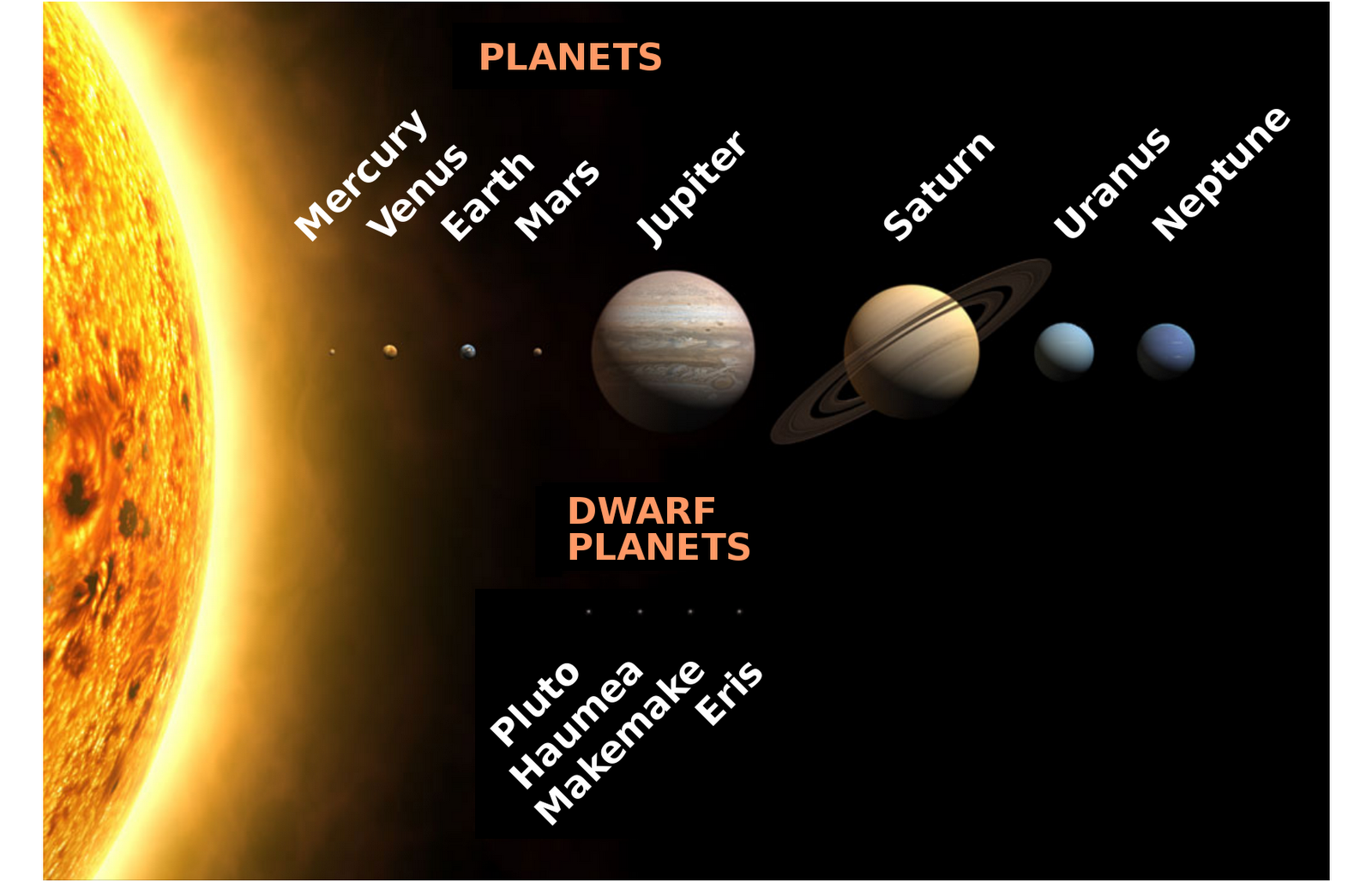 mina ögons ljus: the Golden Ratio.