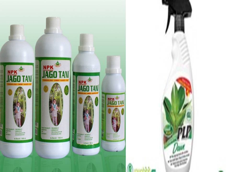 Berikut Macam & Cara Menggunakan Pupuk Daun | Hama & Penyakit Tanaman