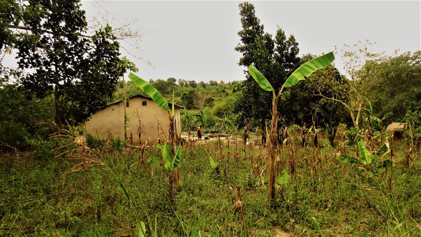 Welcome: Uganda - Fourth week