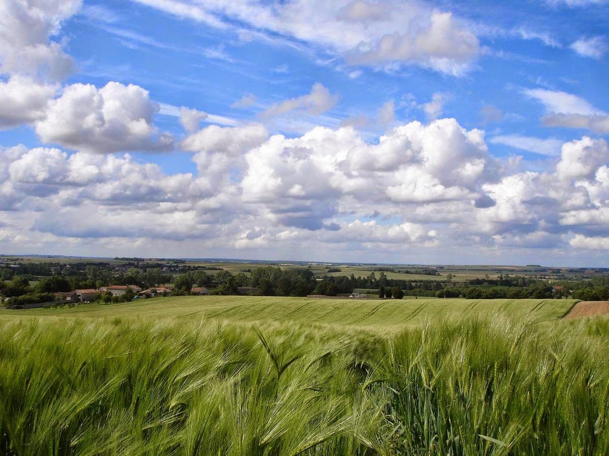 Notre Aventure: Concours de peinture à Marcillac Lanville.