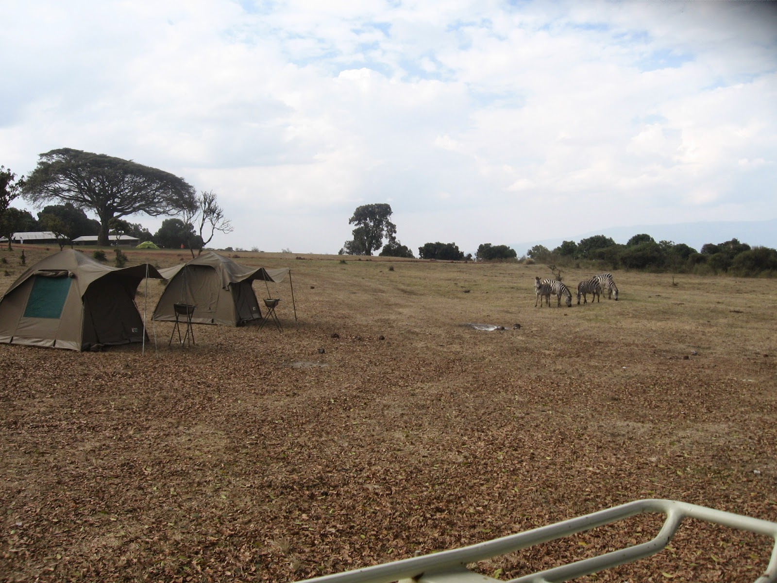 World travels from a thoughtful Londoner: Ngorongoro - Simba A campsite