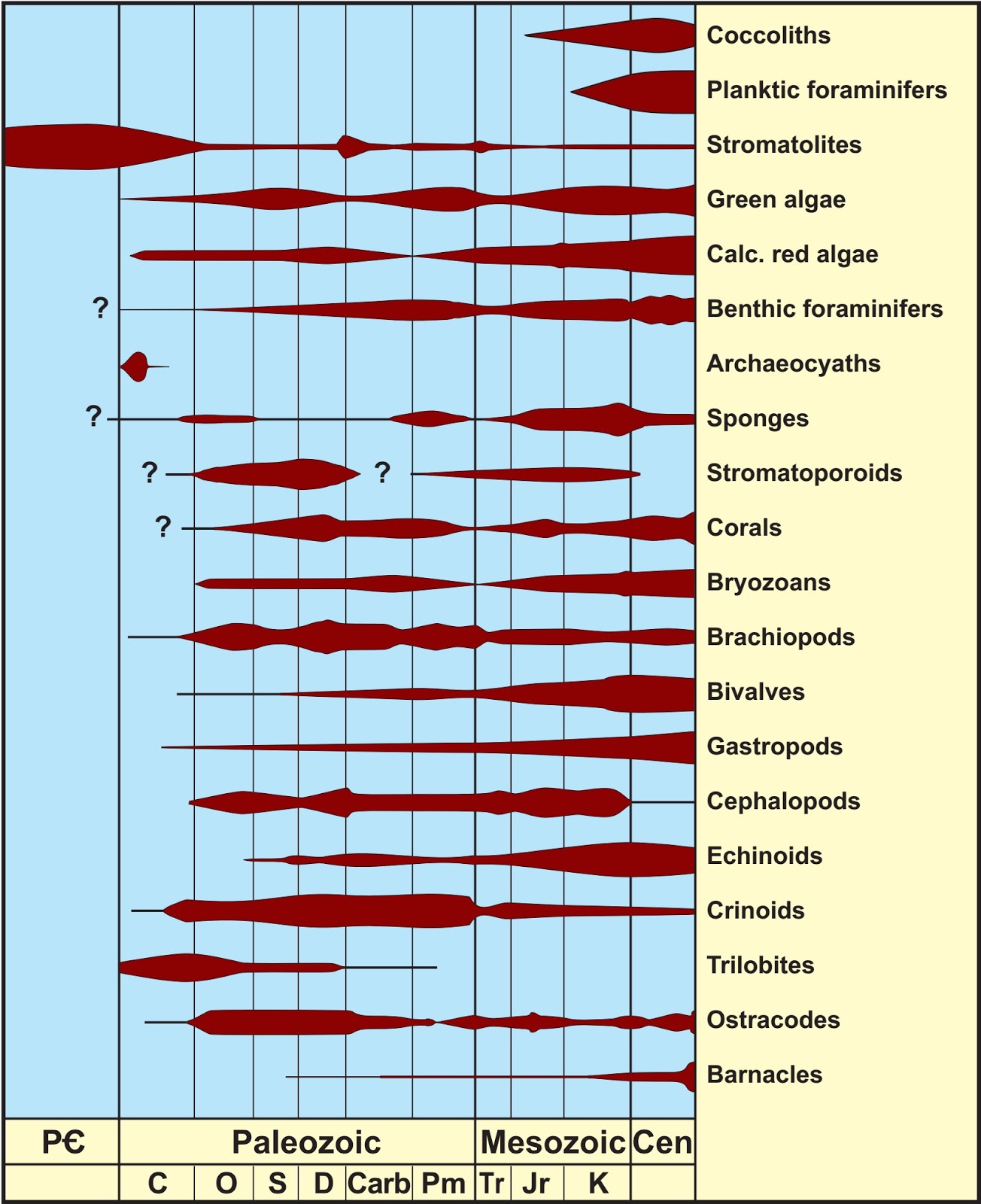 Learning Geology: Introduction to Carbonate Petrography