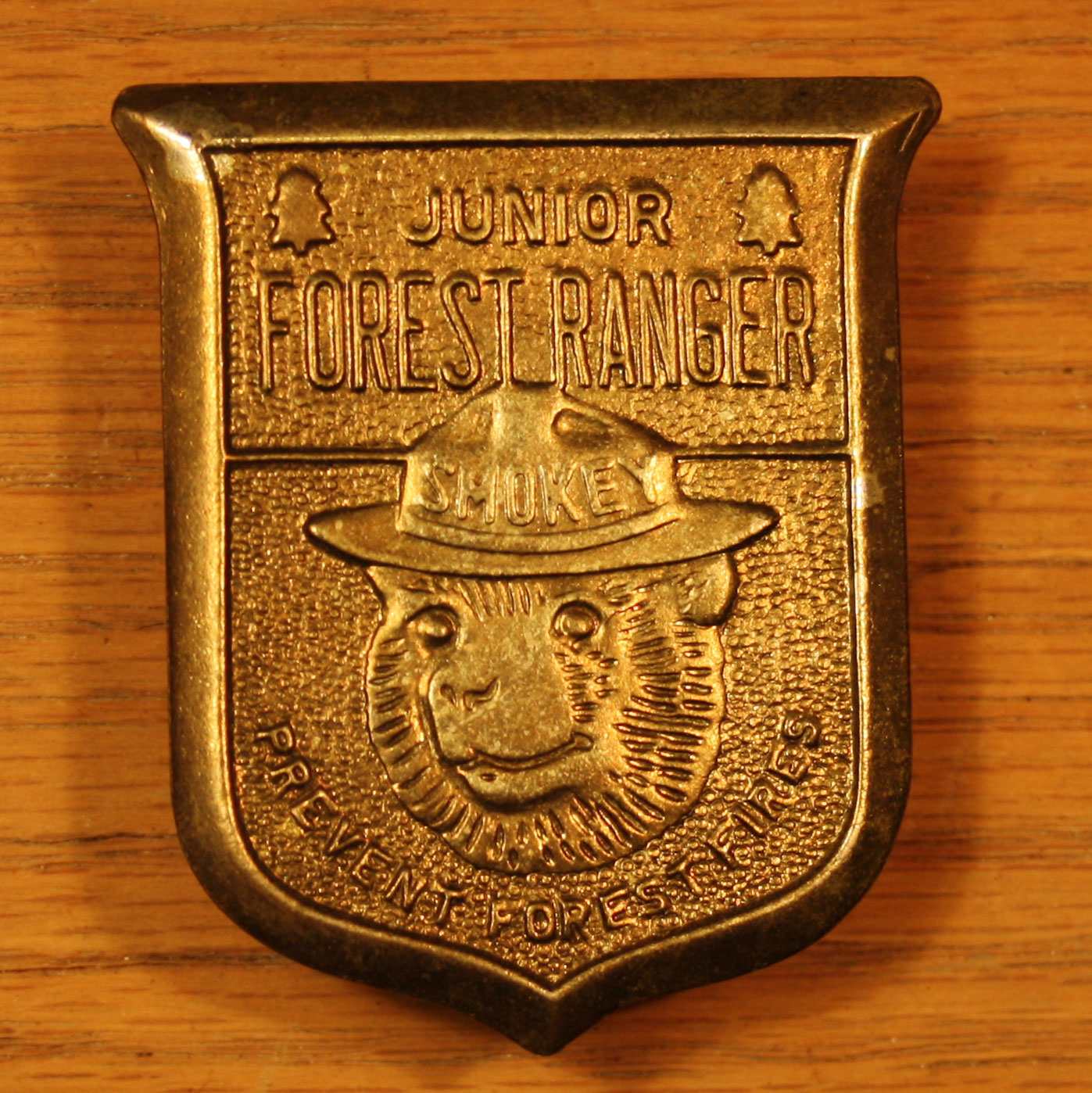 Progress is fine, but it's gone on for too long.: Childhood Badges of ...