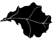 3er Semestre "Introducción al Diseño": Tipos de formas y figuras