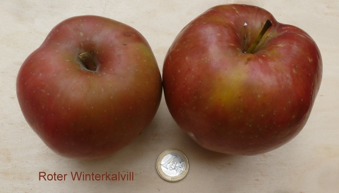 Bilder Zu Roter Apfel Mit Rotem Fruchtfleisch