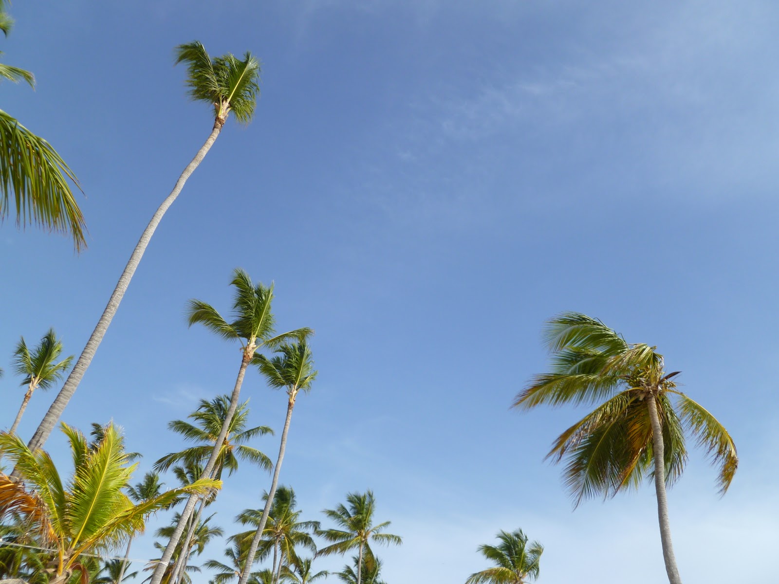 Something Very Bright