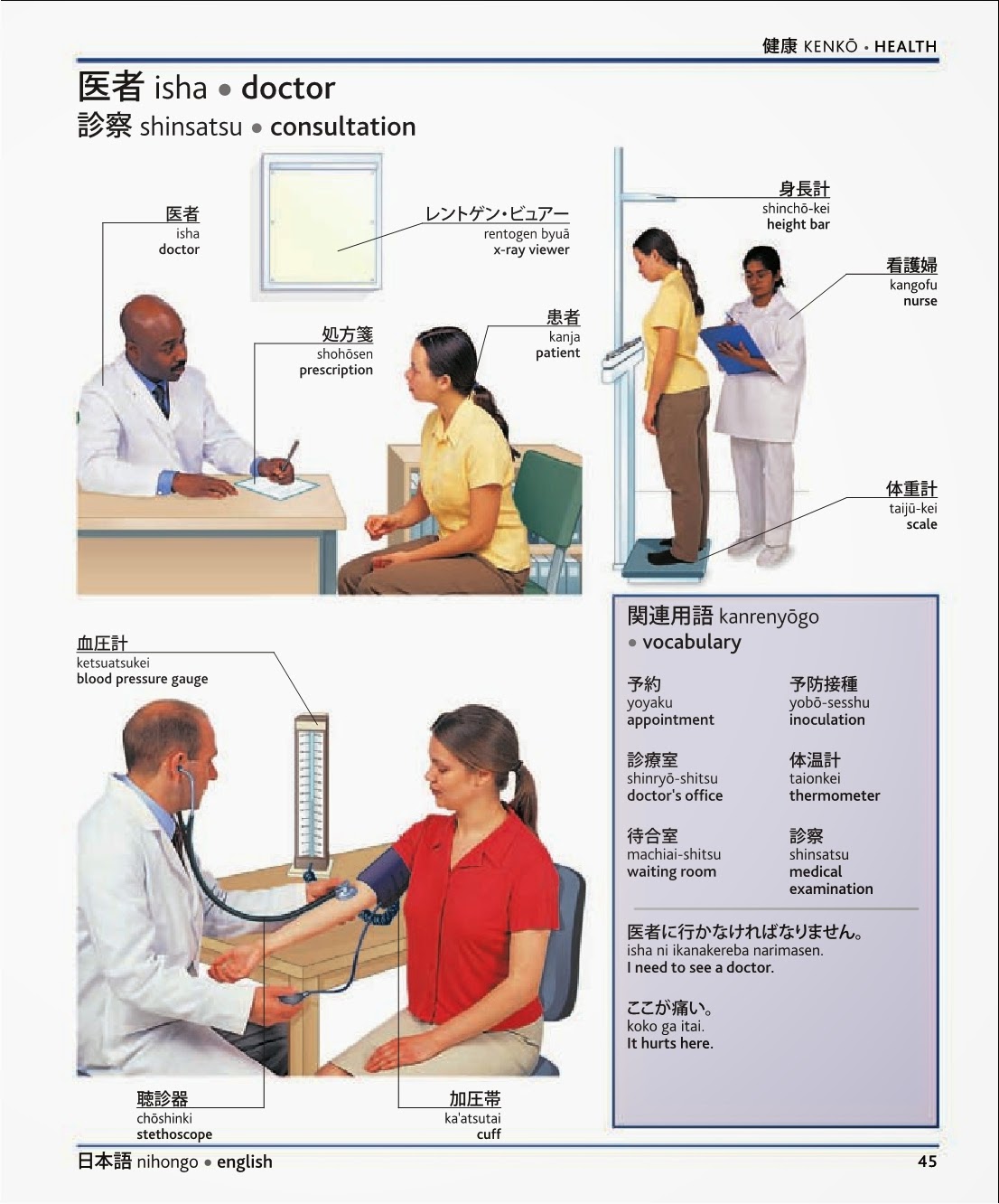 健康 kenkou Health - Japanese For Beginners