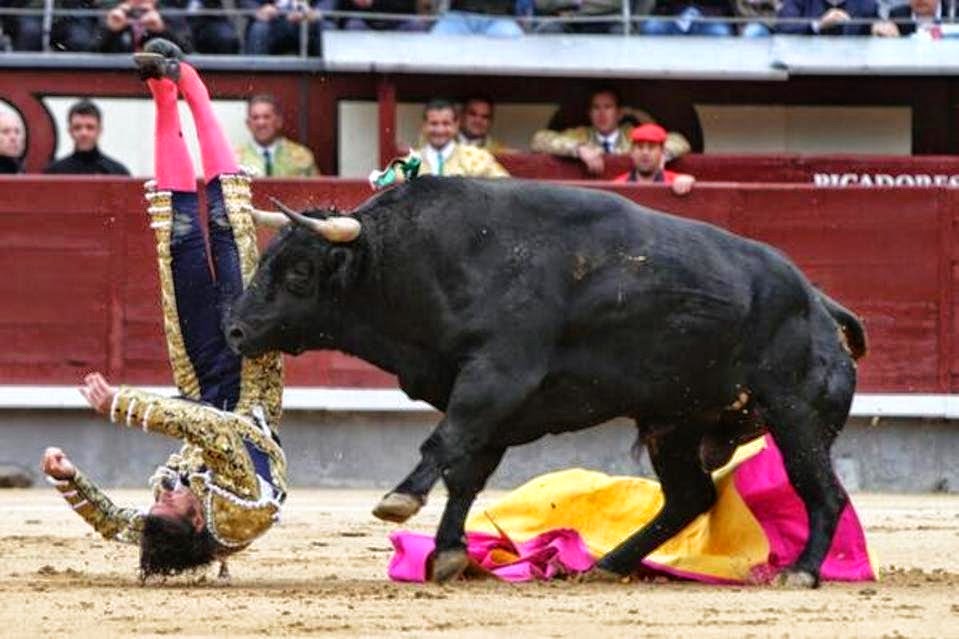 Suspenden corrida de toros después que 3 toreros fueron corneados en ...