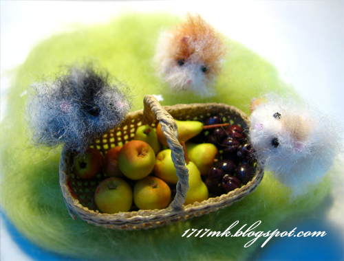 17-17 Miniatury: Najmniejsze świnki morskie ;) The smallest guinea pigs