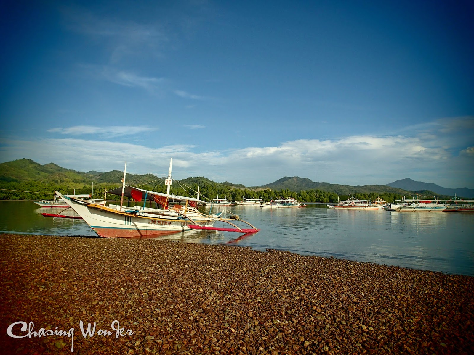Chasing Wonder: Pambato Reef - Honda Bay, Palawan