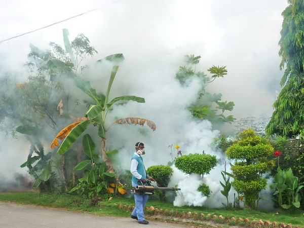 KRT TAMAN INTAN, SP: Fogging ..... semburan anti denggi