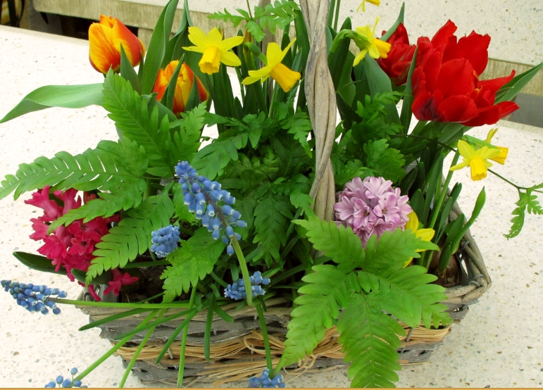 Plantas y flores: Bulbos en flor