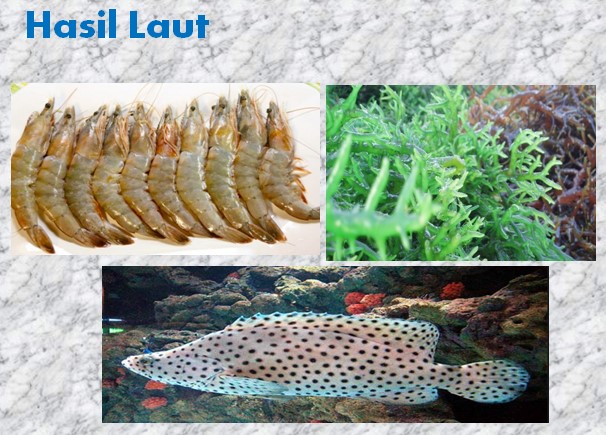 POTENSI GEOGRAFIS INDONESIA UNTUK PENYEDIAAN BAHAN INDUSTRI