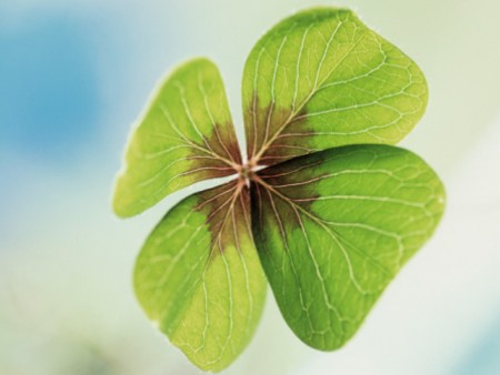 Trevo de quatro folhas e a sorte - Oração da Sorte