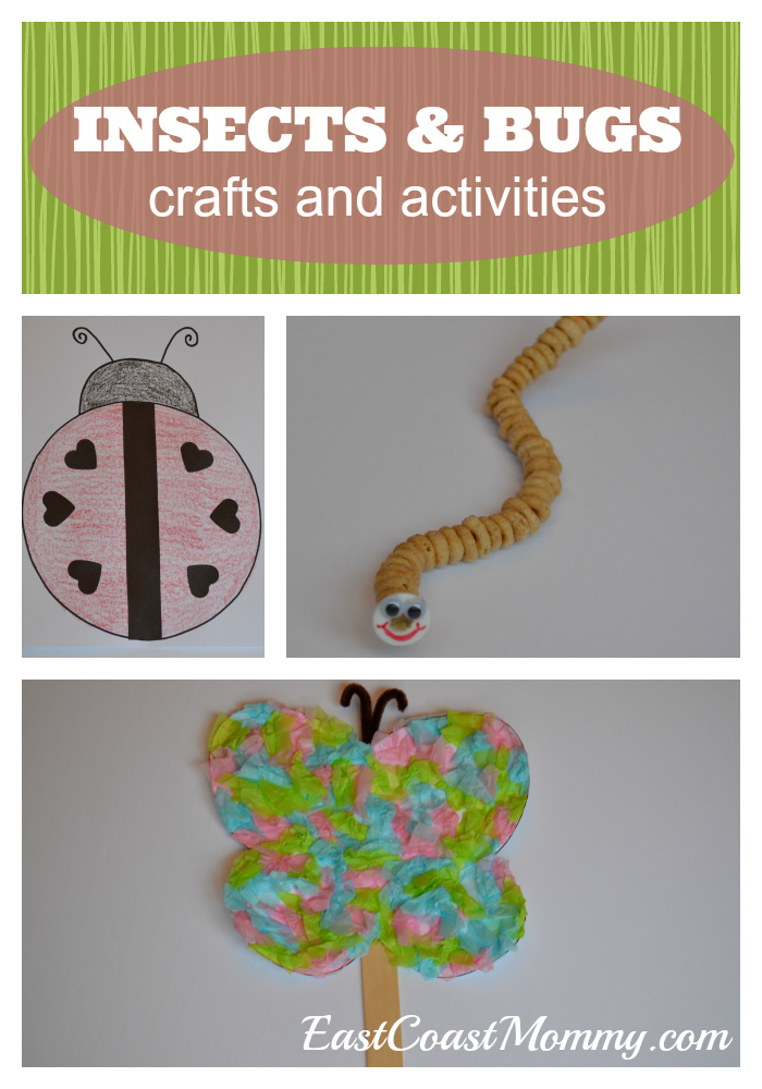 Bug Crafts For Preschool