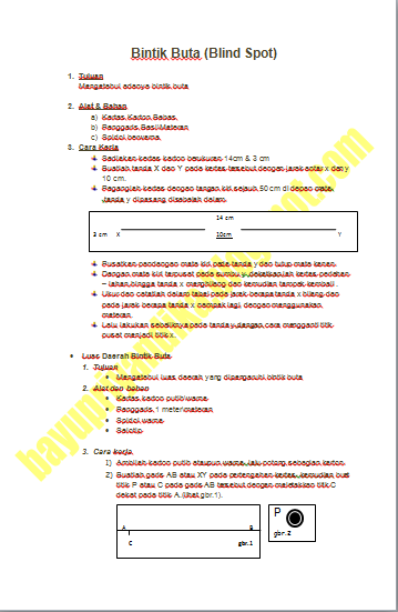 Everything: BIOLOGI - Bintik Buta