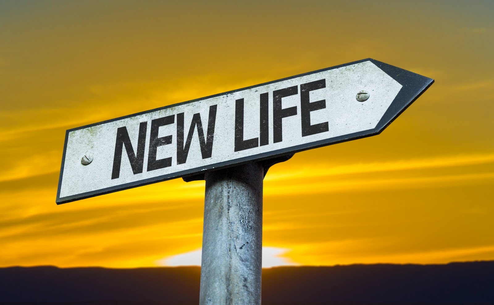 Al Midgett s Blog Retire Or Rehire al-midgett-s-blog-retire-or-rehire