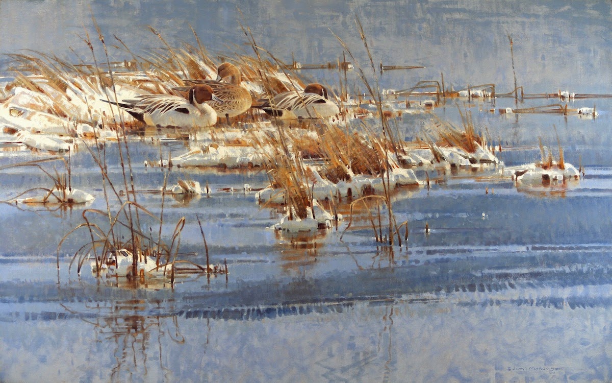 Jim Morgan Art: Current Works