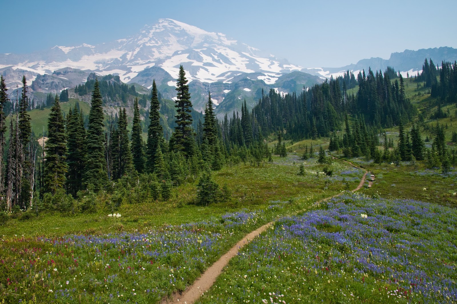 Hiking Shenandoah: Comet Falls and Van Trump Park