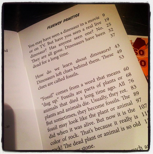 The Library Voice: Everything You Need In One Guided Reading Program ...