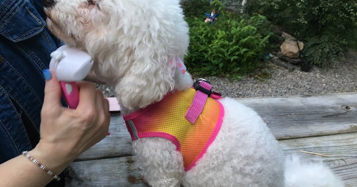 bichonpawz: Check Out This Cool New Eazee DeShedding Tool!! #sponsored