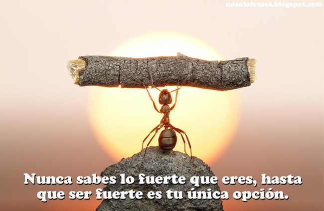 No Solo Frases: Nunca sabes lo fuerte que eres, hasta que ser fuerte es ...
