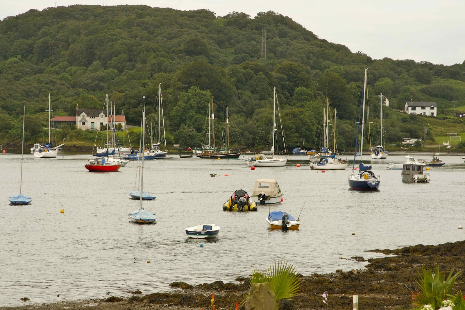 Soleis goes to Scotland: Day 41 Oban to Tayvallich in Loch Sweeny