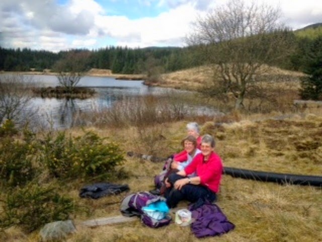 The Glebe Blog: Wigtownshire Ramblers Two Walks - Wood of Cree to Loch ...