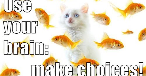 Growth Mindset & Feedback Cats: English. Use your brain: make choices!