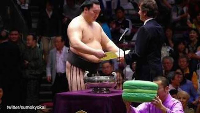 I Have Seen The Whole Of The Internet: Come Second In A Sumo Contest ...