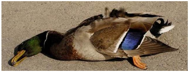 Mr Chuckles: July 2012