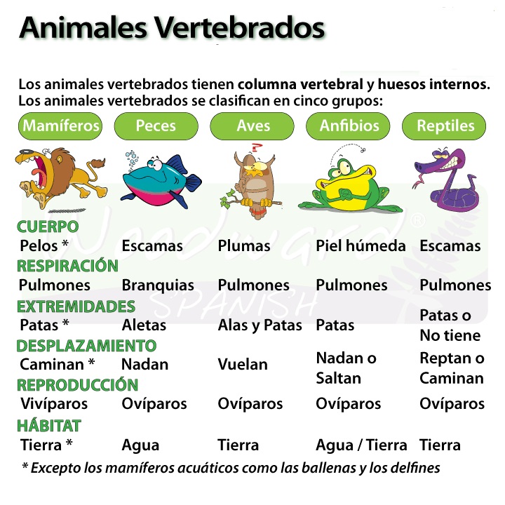 Clasificacion De Animales Vertebrados