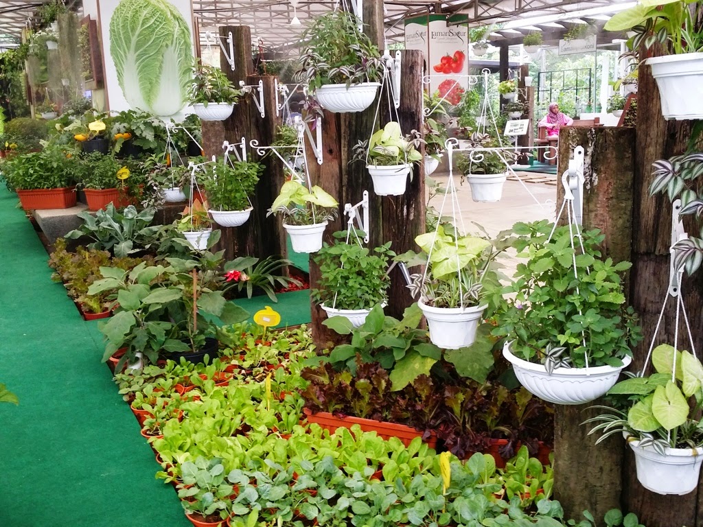 MPV LANDSKAP DAN NURSERI: TAMAN SAYUR DI MAHA 2014