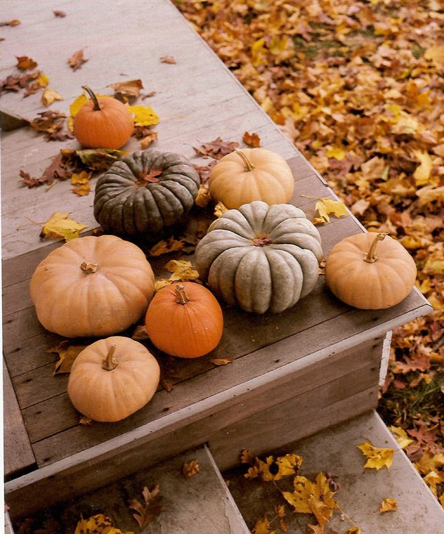 MARTHA MOMENTS: Looking Back to Move Forward: Vol. 10 (October)