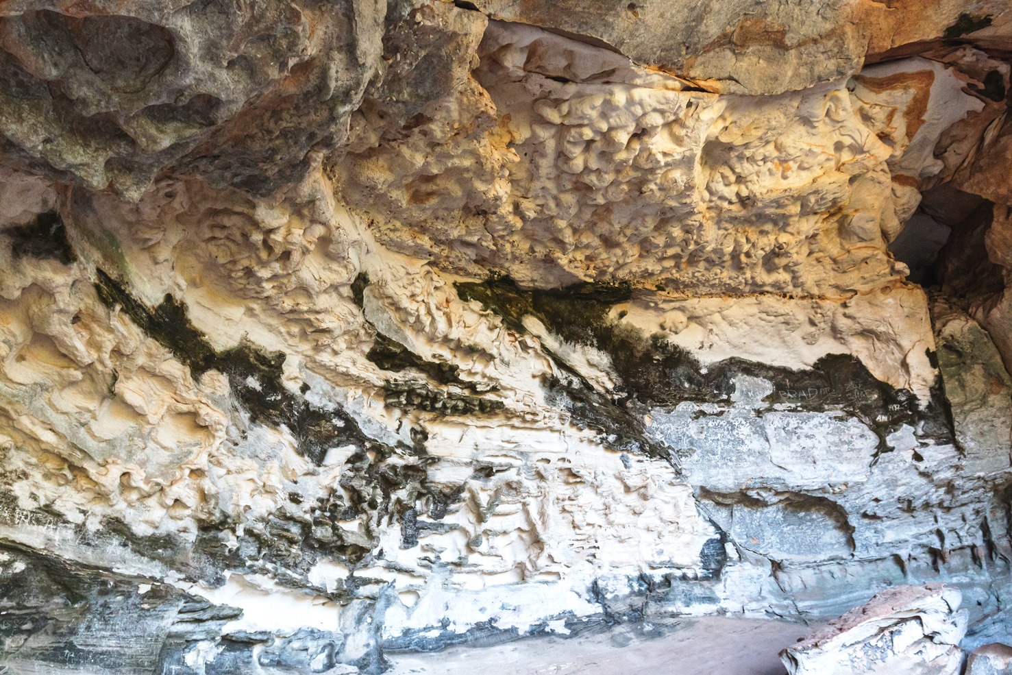 National Park Odyssey: Cania Gorge National Park, Monto QLD.