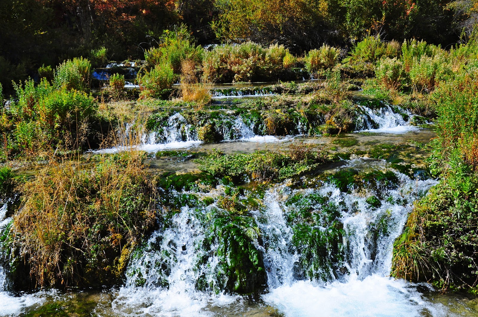 Hiking Utah: Alpine Loop and Cascade Springs Interpretive Trail