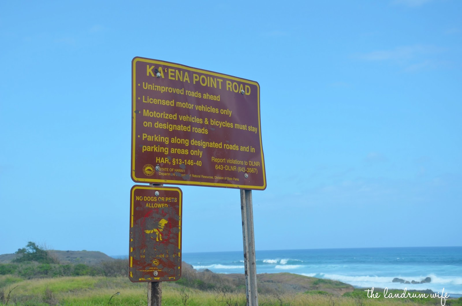 And Drink the Wild Air: Getting to Know Hawaii: Ka'ena Point Trail ...