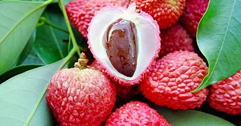 Mengenal Lebih Dekat dengan Buah Leci dan Perawatannya. ~ Florauna