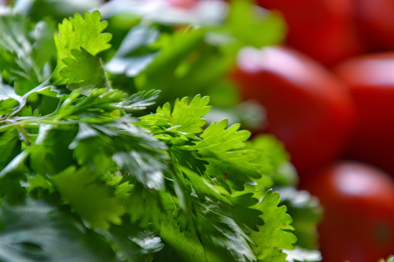 somosxinkas.com: LAS HIERVAS DE LOS PUEBLOS