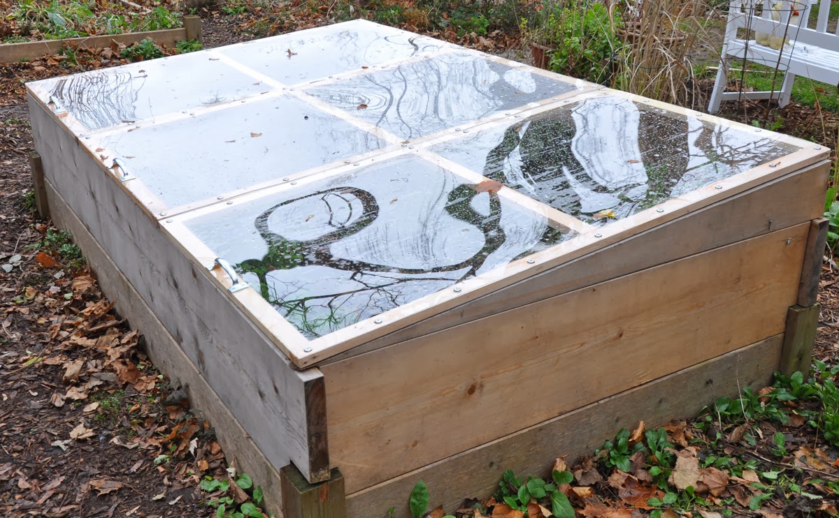 Three Dogs in a Garden: Building a Cold Frame
