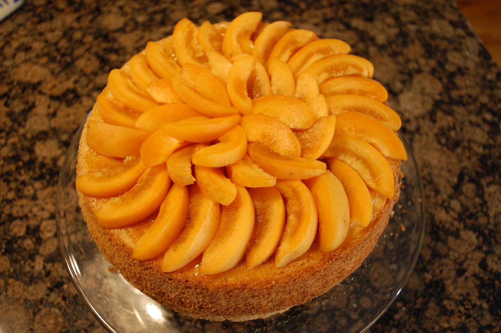 A Peek into the Pantry: Josefina's Apricot Sponge Cake