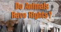 Lightwaveseeker: Do Animals have Rights? Inherent Value?