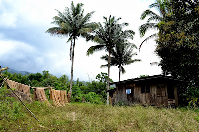 Waterfalls.ph: Tudaya Falls ~ Davao del Sur ~ Waterfall Warrior