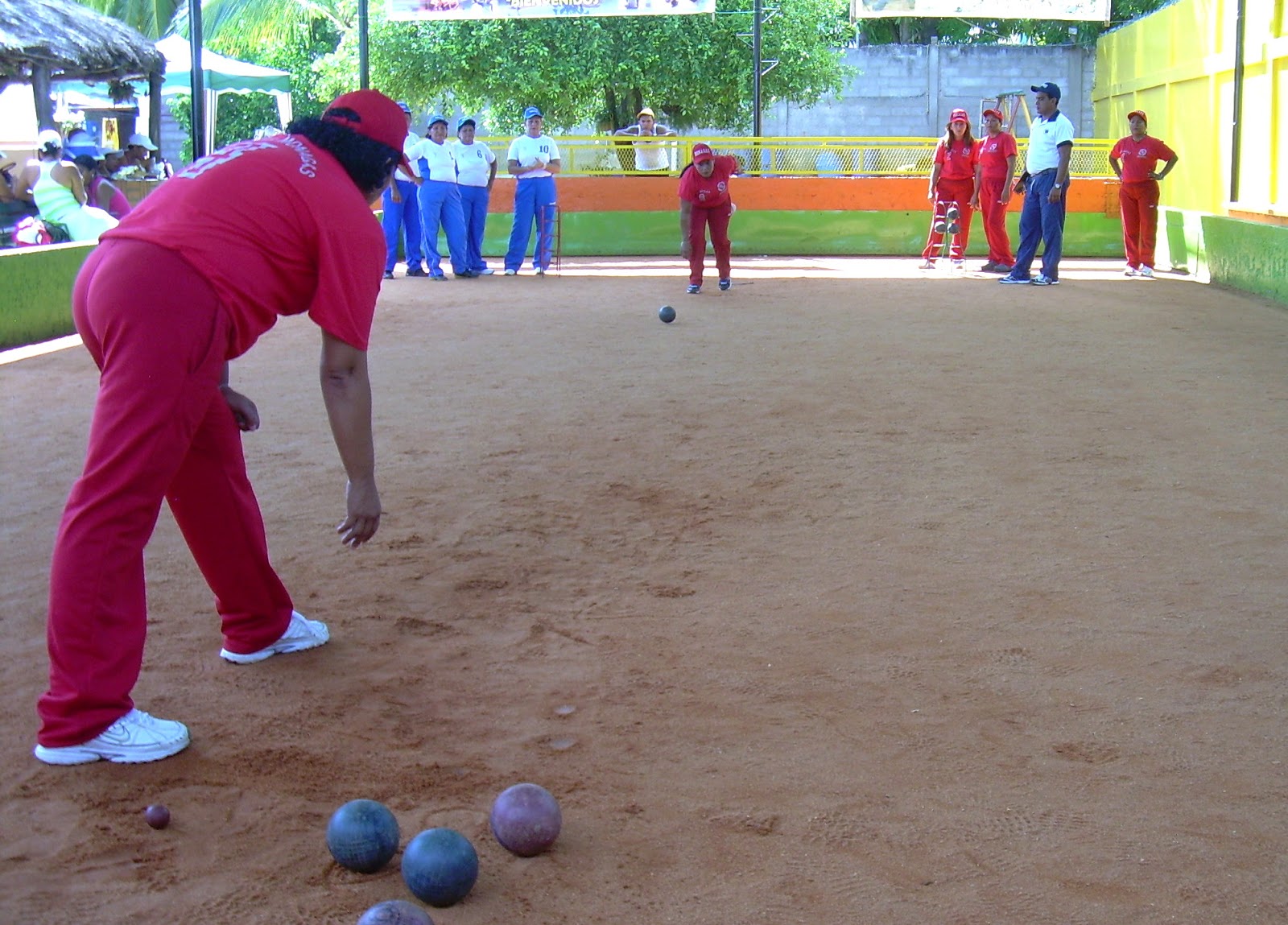 BOLAS CRIOLLAS DE VENEZUELA: YA ESTÁN LOS SEMIFINALISTAS DEL NACIONAL ...