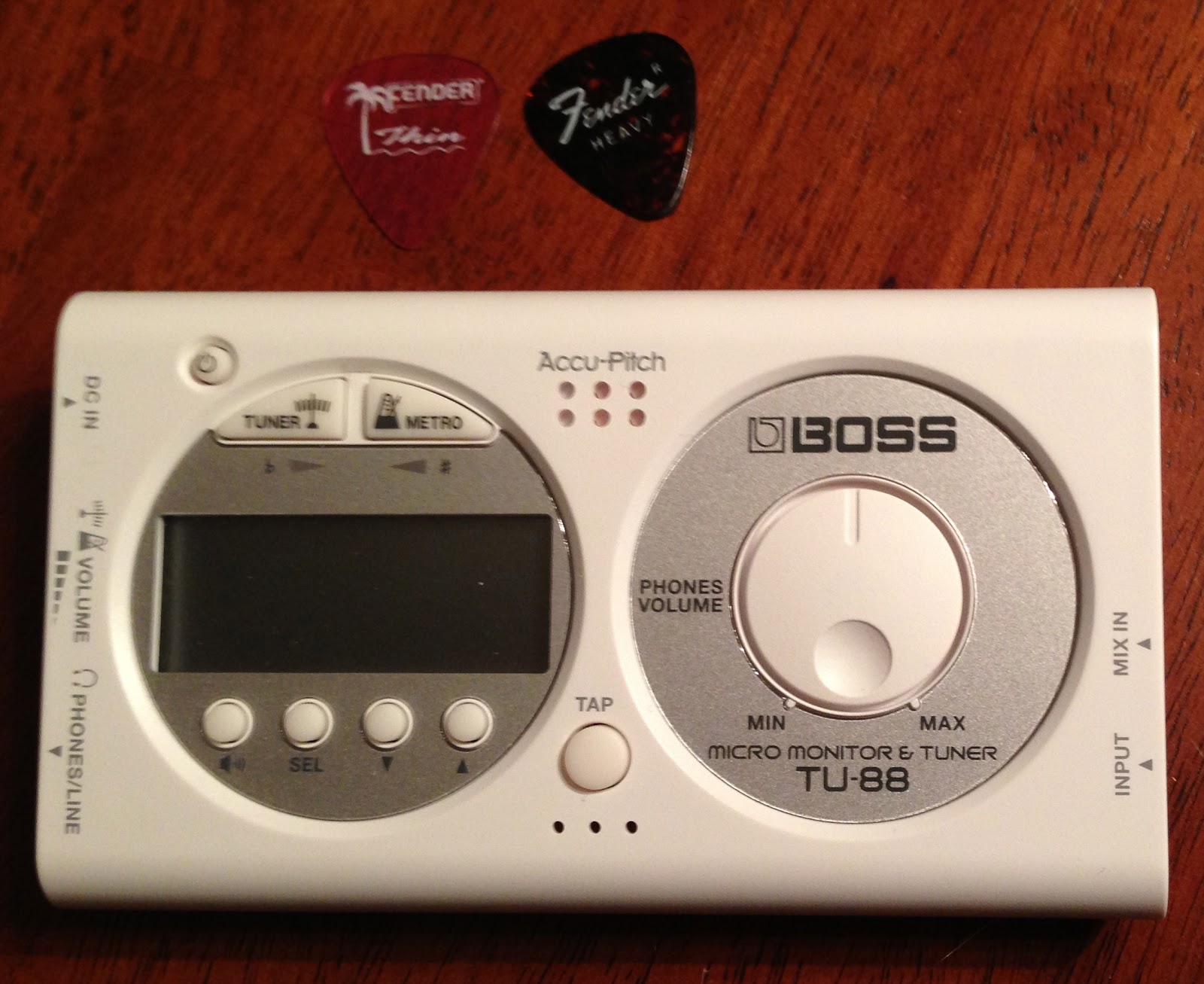 Tree Rings & Guitar Strings: Making Music