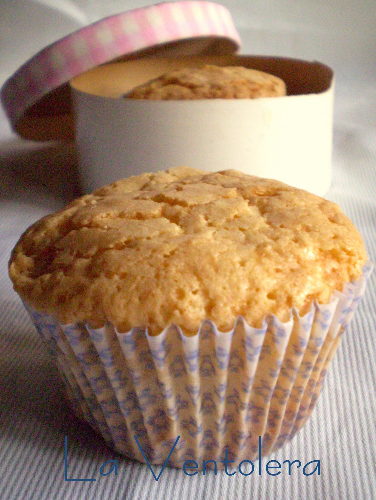 LA VENTOLERA: MAGDALENAS