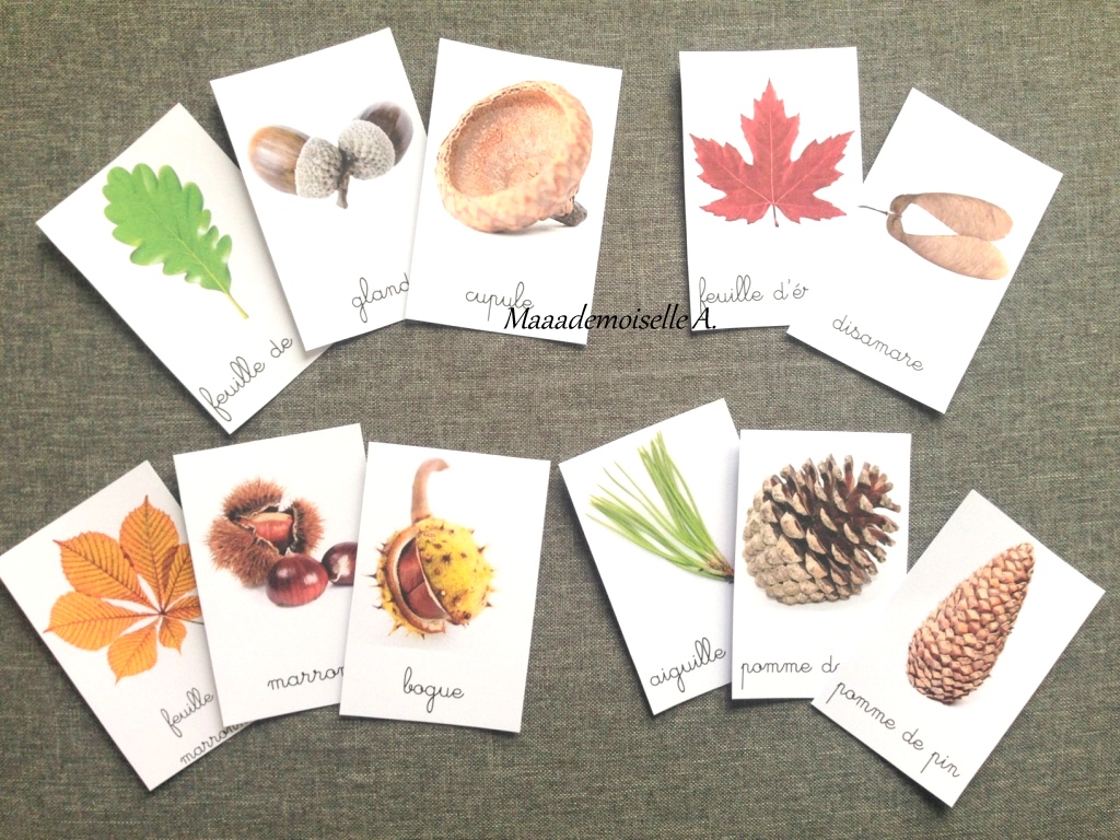 Maaademoiselle A.: || Cartes de nomenclature à télécharger gratuitement ...