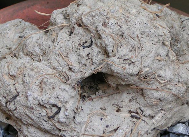 BARROW WORKS: Homemade Hypertufa Rocks